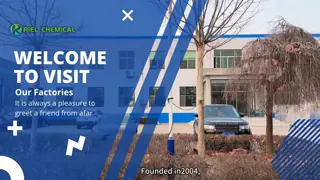 company introduction