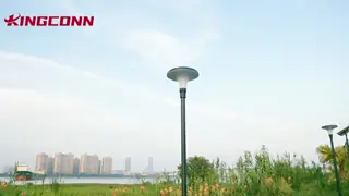 China IP65 Waterproof Solar Garden Lights 100% Solar Powered LED Lights with 12H Runtime for Outdoor Garden for sale