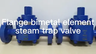 Bimetallic flange steam trap
