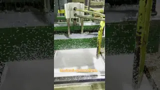 Food Packaging