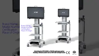 China 22 Inch Monitor Full HD Endoscope Camera 80W LED Cold Light Source BTH-9122H for sale