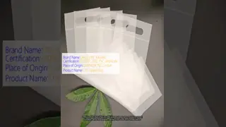 Moisture-Proof and Durable Frosted CPE Resealable Zipper Bags With Handle For Food And Small Items
