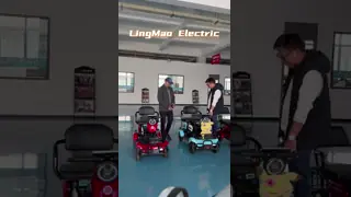 China Rhino King Urban Edition Electric Tricycle with 150km Range and 48V50AH Battery - Two-Person Cargo E-Trike for sale