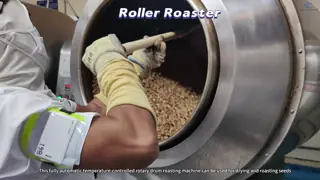 China 80kg/batch Gas Heating Roller Roaster Sugar Roasting Machine with SS304 Material for sale