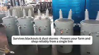 China Distribution Transformer Pole Mounted Transformers Incorporating Mounting Accessories Insulators and Tank Material Mild Steel Stainless Steel for Grid Solutions for sale