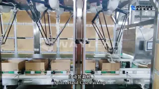 China Automatic Spider Hand Robot Carton Case Packer Packing Machine for sale