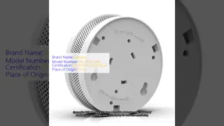 OEM Smoke CO Detector LCD Display Manufacturer