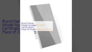 Voice Control Smart Wireless WiFi Switch Single Pole 240V