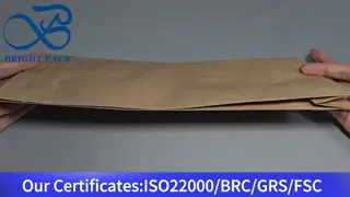 kraft paper stand up zipper bag