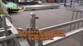 China Hot Dipped Galvanized Horse Fence Panels For Farm Animals Heavy Duty Livestock Panels for sale