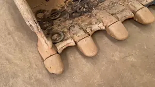 working condition of bucket tooth
