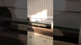 China Multi Colors Durability Aquatic Based Metal Paint Bucket And Lid For Interior Walls And Ceilings for sale