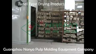 Tunnel Type Paper Pulp Drying Production Line