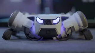 Small Rescue Dog Robot Safe in Dangerous Areas