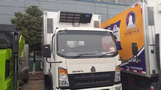 China HOWO RHD Chick Truck Day-Old Chick Transport Hatchery Thermostatic Transport Vehicle for sale