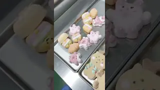 Home Freeze Dryer