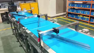 China Automatic Food Flow Wrapping Machine and Sorting Line for sale