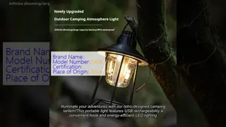 China Retro Design Outdoor Camping Lantern Usb Rechargeable Camping Light With Hook for sale