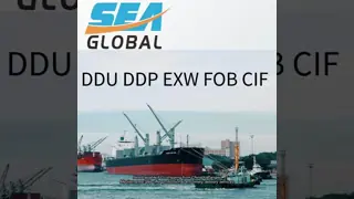 FCL Shipping service from China to Tangier Mediterranee Professional And Timely Delivery Services