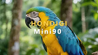 China Nightvision Infrared Scopes 4K Video 40MP for Hunting Camping with Compass for sale