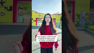 Shunde Bruce Lee Project Case