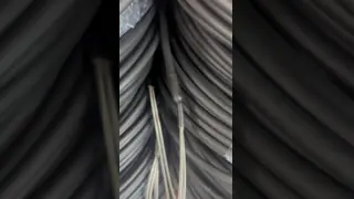 China 5.0 / 7.0 Mm Cable Diameter MTRJ Connector Type MPO Jumper for Easy and Connection for sale