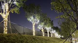 China 110V / 220V Solar Decorative Light 10 Tube Meteor Shower Rain Lights 30cm 50cm 80cm for sale