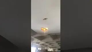 China Custom Chinese Chandeliers For Restaurant Exhibition Hall Conference Hall for sale