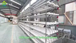 Multi-layer Vertical NFT Hydroponic Rack