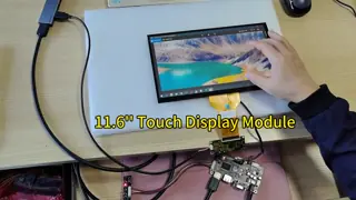 China 11.6-inch Touch LCD Panel With 1920x1080 EDP Display Interface USB Touch Interface for sale