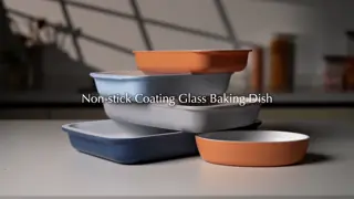 IKOO glass baking dish with coating