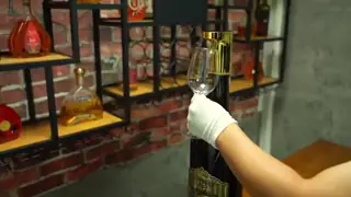 WP-007 Whiskey Dispenser