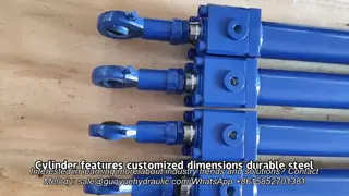 CAG CGAS Articulated Lifting Ring Head CDH1 MP5 Heavy Duty Hydraulic Cylinder