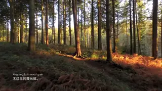 T599 Walnut Wood Grain Decor Paper