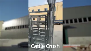 40*80mm*1.6mm Crush Cattle Panel Cattle Headlock Panels Versatile
