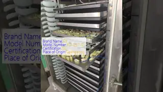 Industrial Freeze Dryer: High Volume Preservation