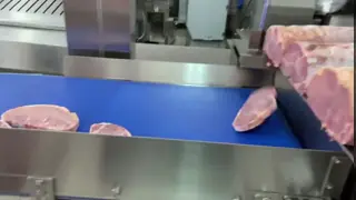 Auto Single-Cut Bandsaw Machine Cutting Frozen Meat into Beef Roll Cube Steak with 1-200mm Ajustable Cutting Thickness