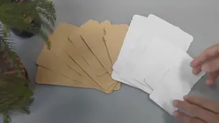 China Recyclable brown kraft paper bags with transparent Windows for self-sealing and quick transportation of pizza, sushi and pet food for sale