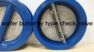 China SONGO Ductile Iron Wafer Check Valve 8 Inch Dual Plate SS304 Disc Butterfly Type Wafer Check Valve for sale