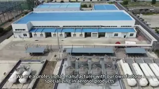 China F1 Heavy-Duty Spray Paint 450ml for Metal, Wood & Plastic - UV Resistant Coating with 10+ Colors for sale