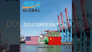 FCL Sea Freight Shipping from USA to Shenzhen, China