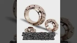 See Why Choose EN Weld Neck Copper Nickel Flange 2500 for High Temperature Applications