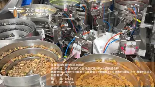 Multi Nuts Blending Weighing Packaging System