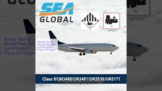 Freight Forwarder Dangerous Cargo Battery Shipping Air Shipping UN3480 UN3481 UN3536 UN3171 EXW FOB DDU DDP Logistics Agent
