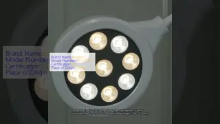 High-Intensity Hospital Grade Gynecology Exam Light With ≥100,000 Lux Illuminance & Adjustable Height 1560-1970mm For Surgery And Diagnosis