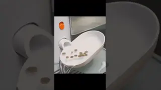 China Foldable Design Stainless Steel Base Automatic Shut-off Pet Drinking Machine for sale