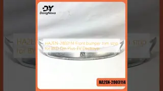 BYD Qin Plus EV Bumper Trim Protect & Style