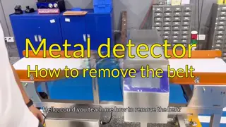 China Thermal Circuit Food Metal Detector With Digital Processing, Peak Digital Display for sale