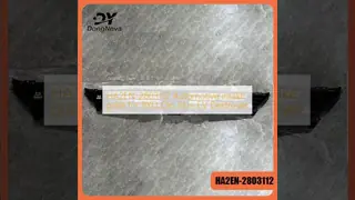 BYD Qin Plus EV Grille Upgrade