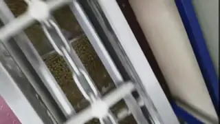 China Customizable Chain Scraper Conveyor Adjustable-speed automatic chain scraper conveyor Manufactured from stainless steel Suitable for fruits, flour, grains, and chemicals for sale